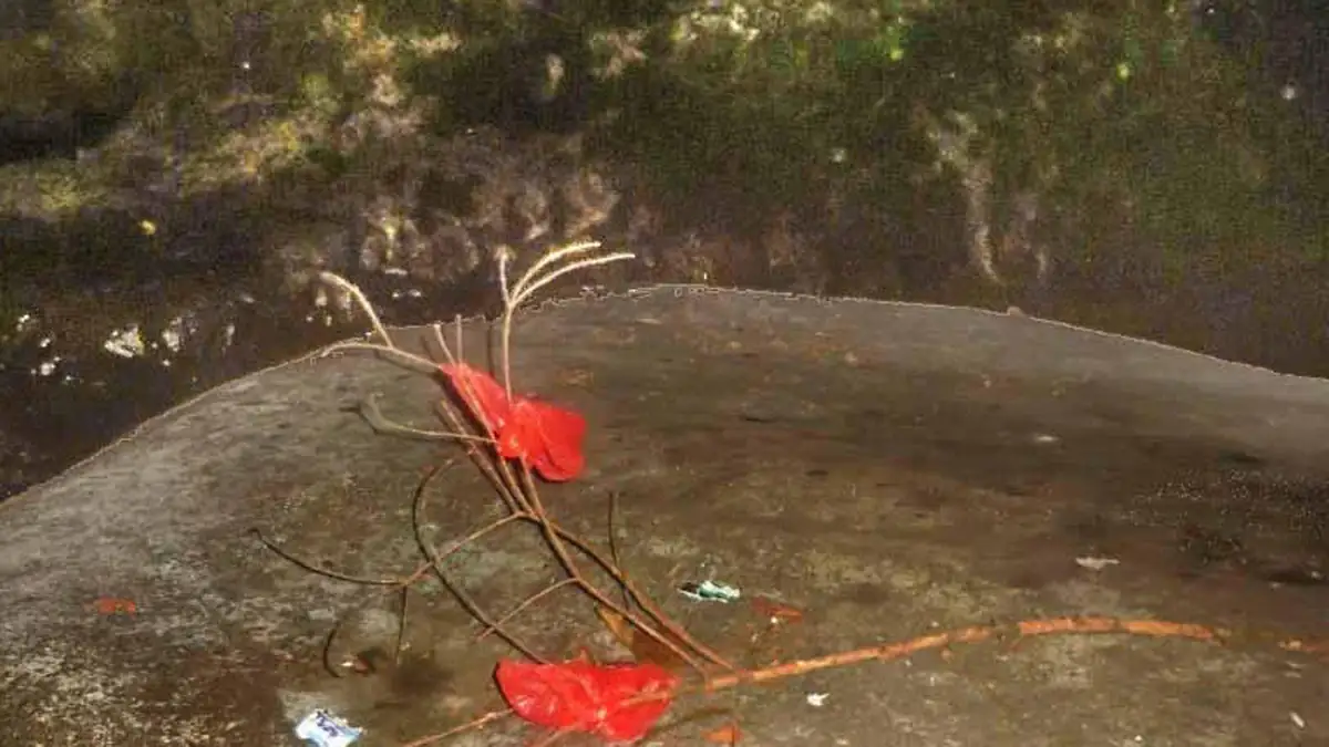 War es Mord? Lisanne Froon und Kris Kremers verschwanden spurlos in ...